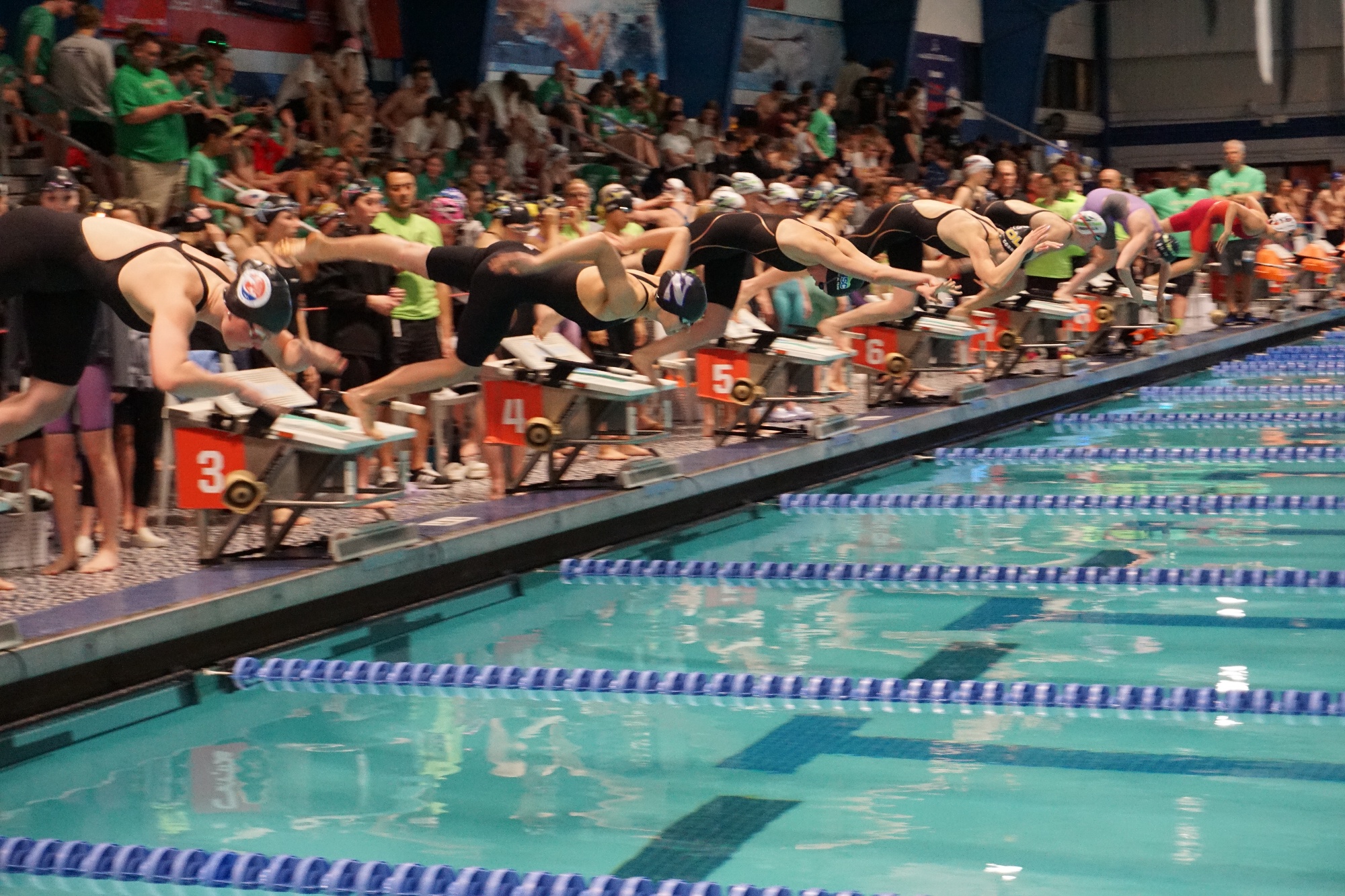 NASA Wildcat Aquatics Home